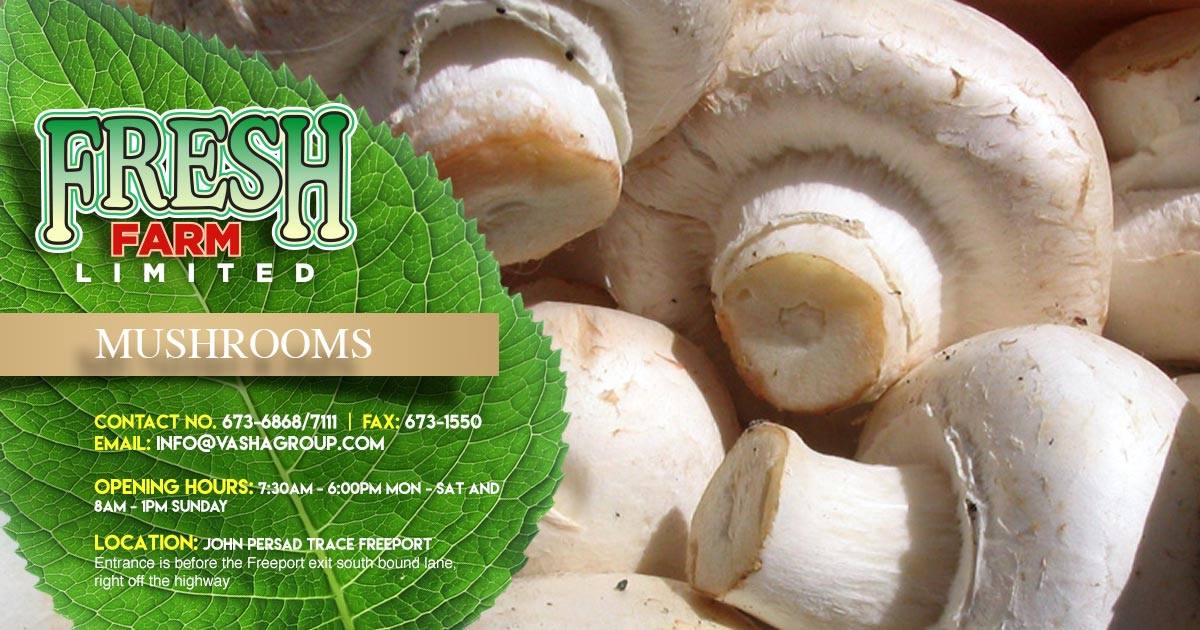 Fresh Farms – Vasha Group