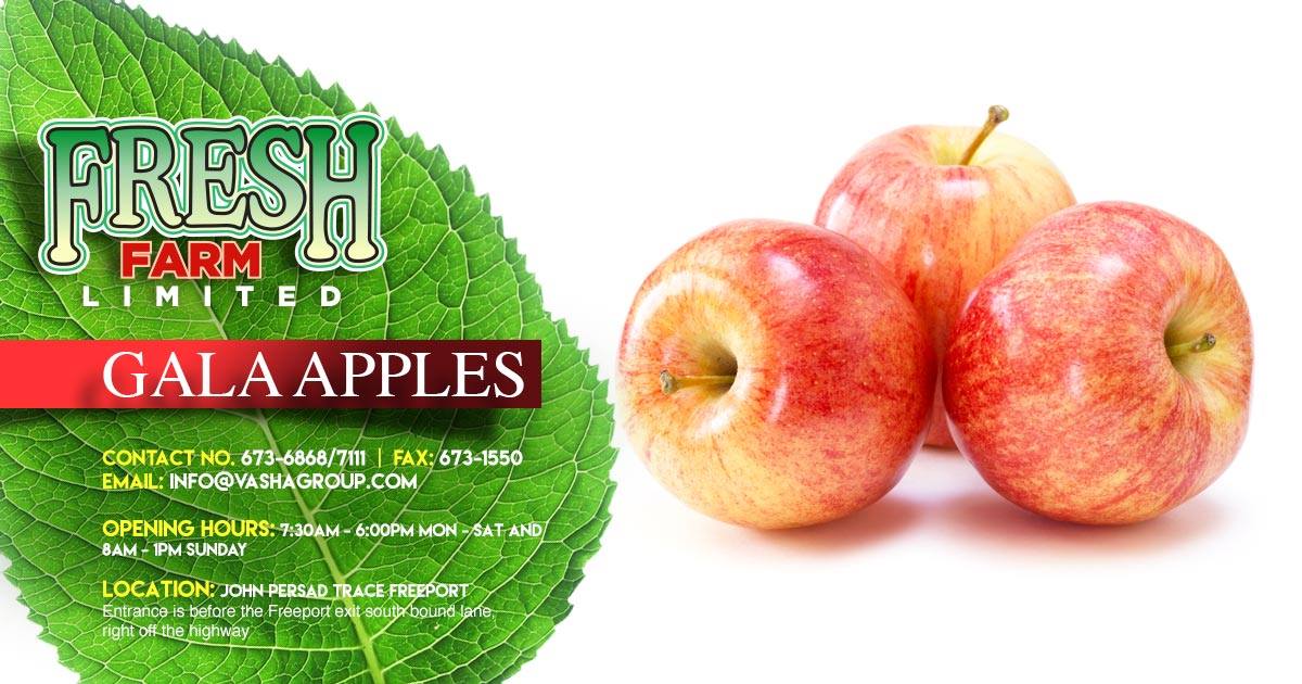 Fresh Farms – Vasha Group