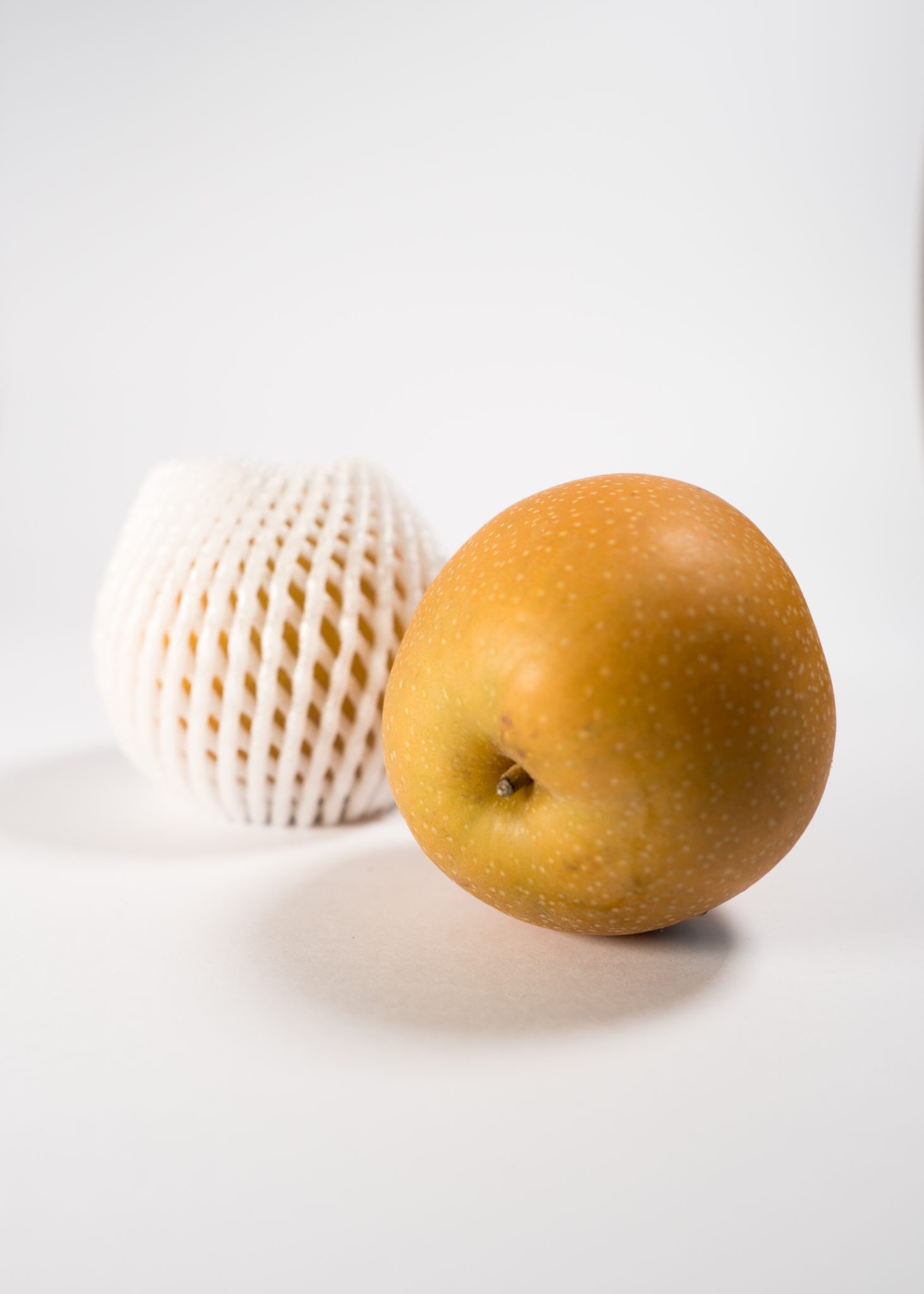 Vasha Group – Home of Vasha Foods & Fresh Farms